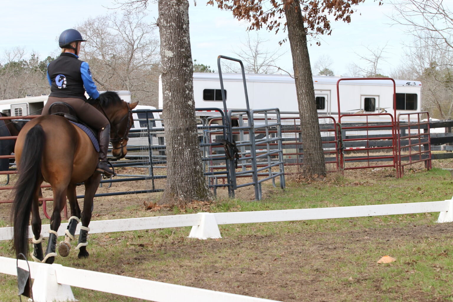 Ride an Accurate 20-Meter Circle - Practical Horseman