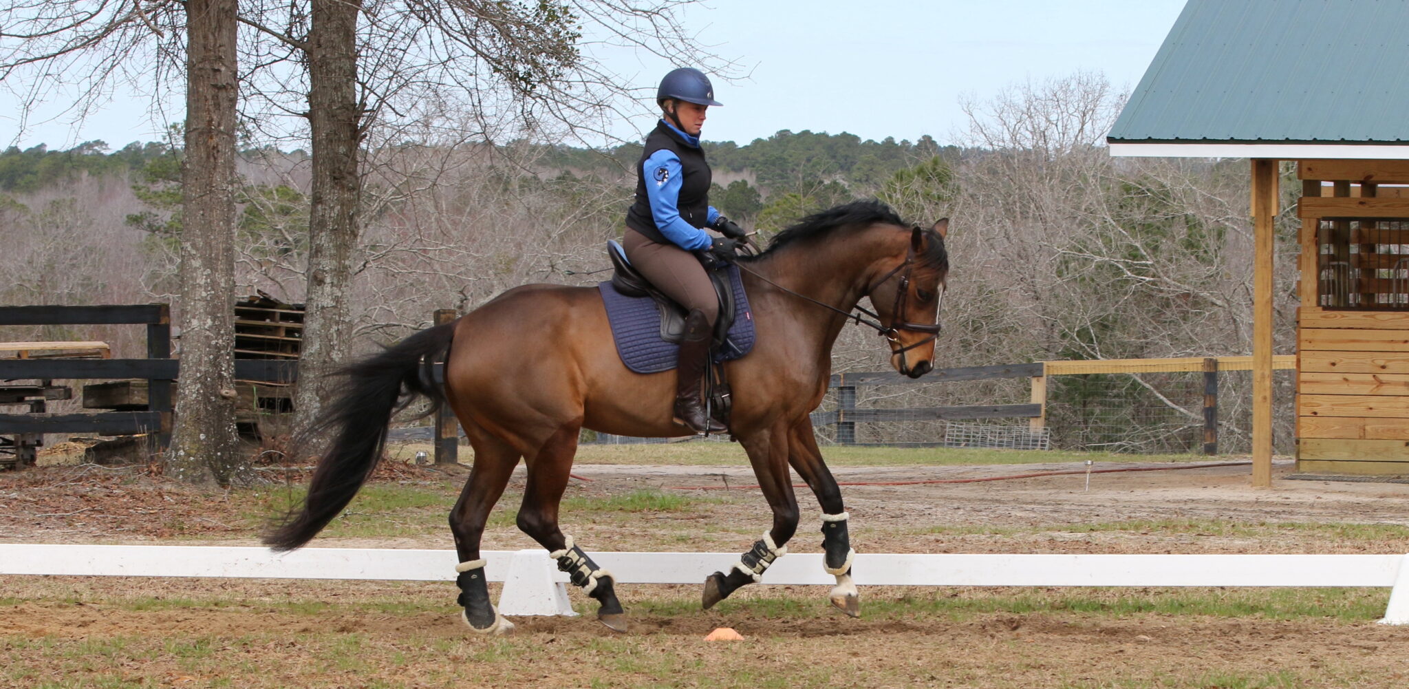 Ride an Accurate 20-Meter Circle - Practical Horseman