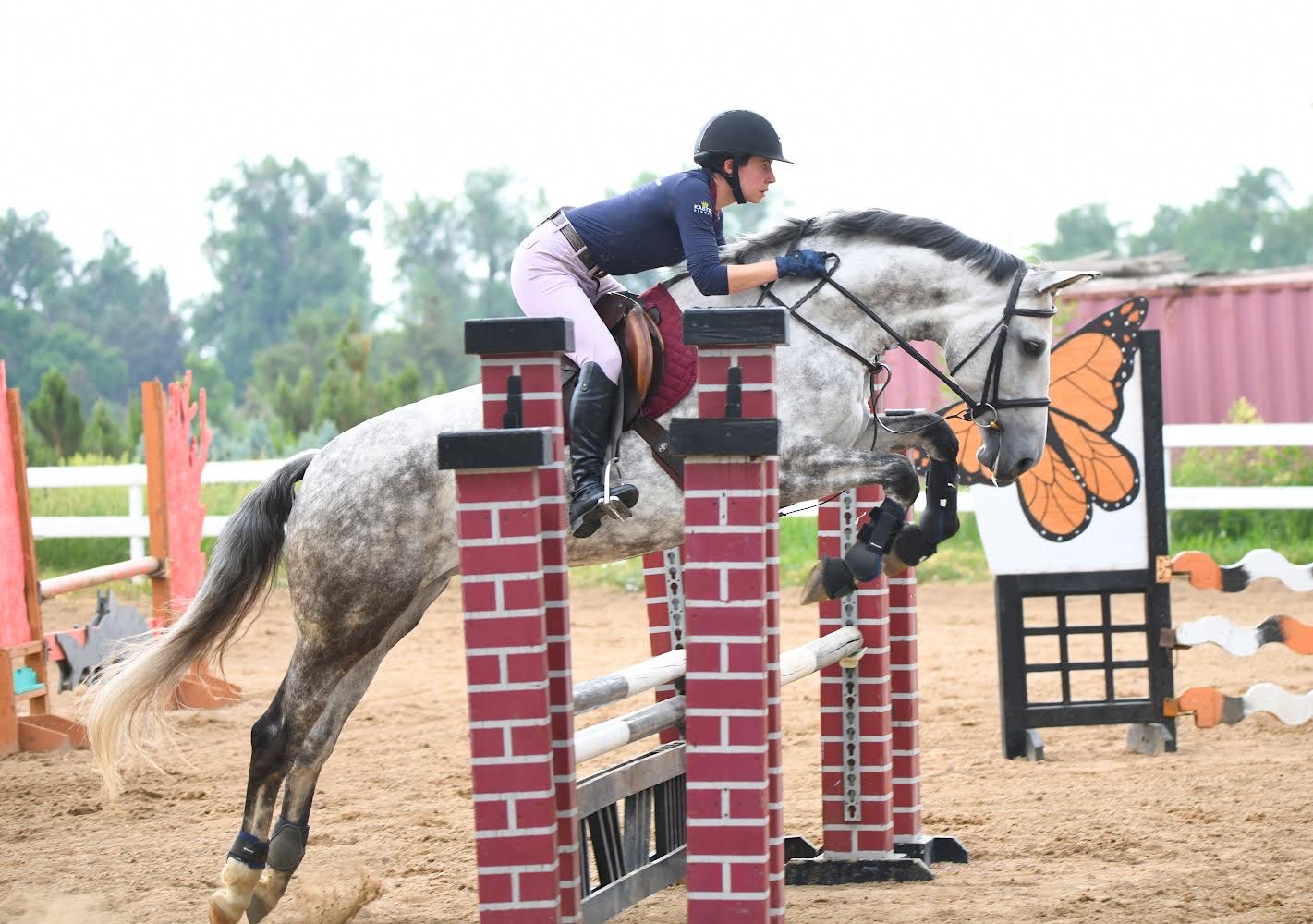 Jumping Clinic: Exaggerated Bascule - Practical Horseman