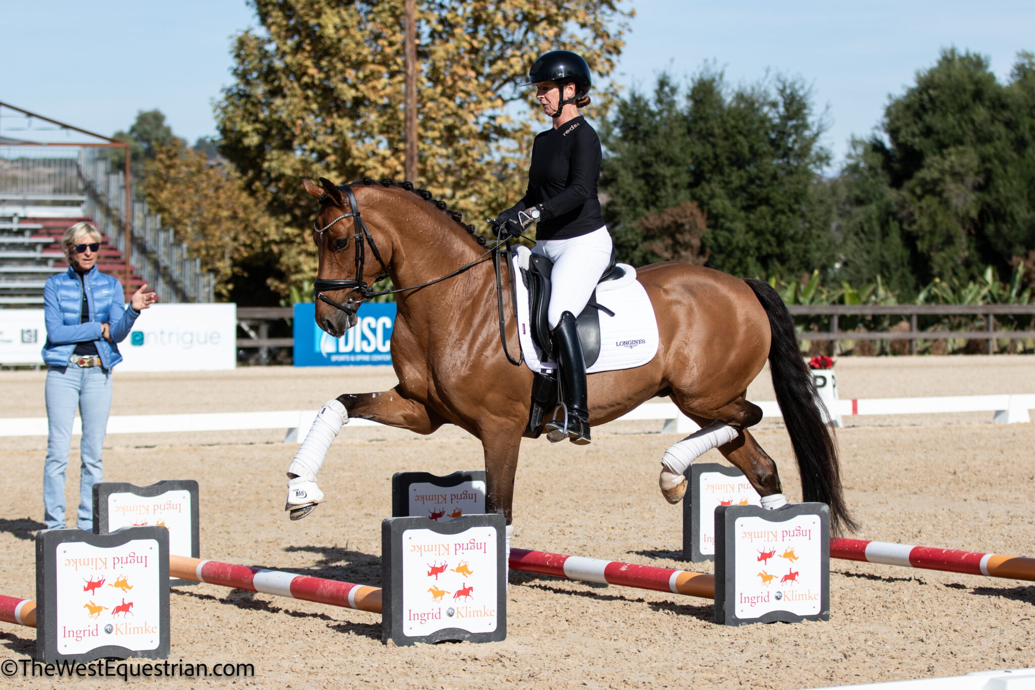 Ingrid Klimke's Tools of the Trade - Practical Horseman