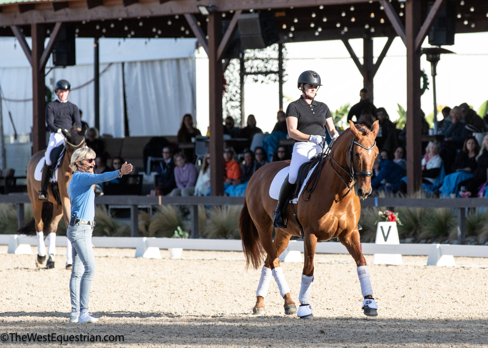 Ingrid Klimke's Tools of the Trade - Practical Horseman