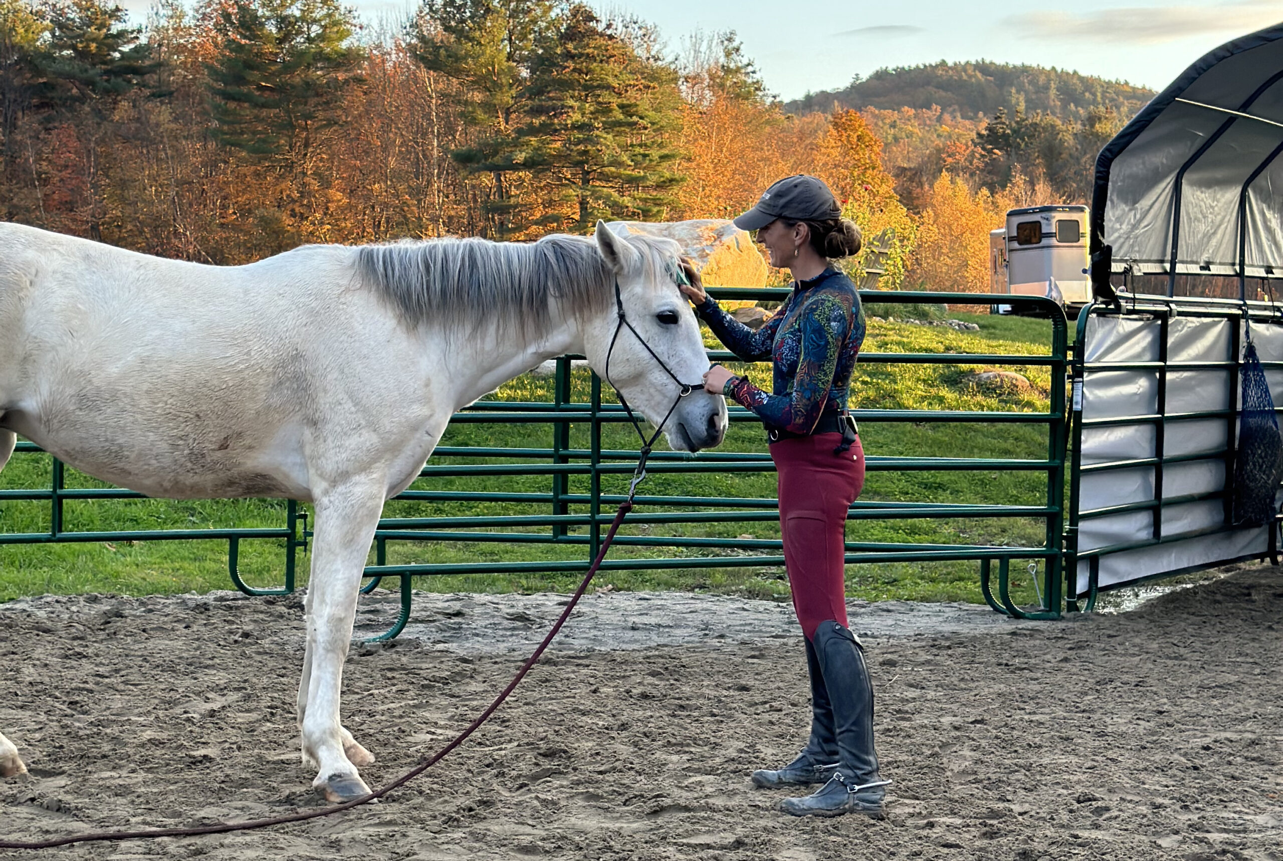 Chelsea Canedy Jumps Into the Mustang Classic - Practical Horseman