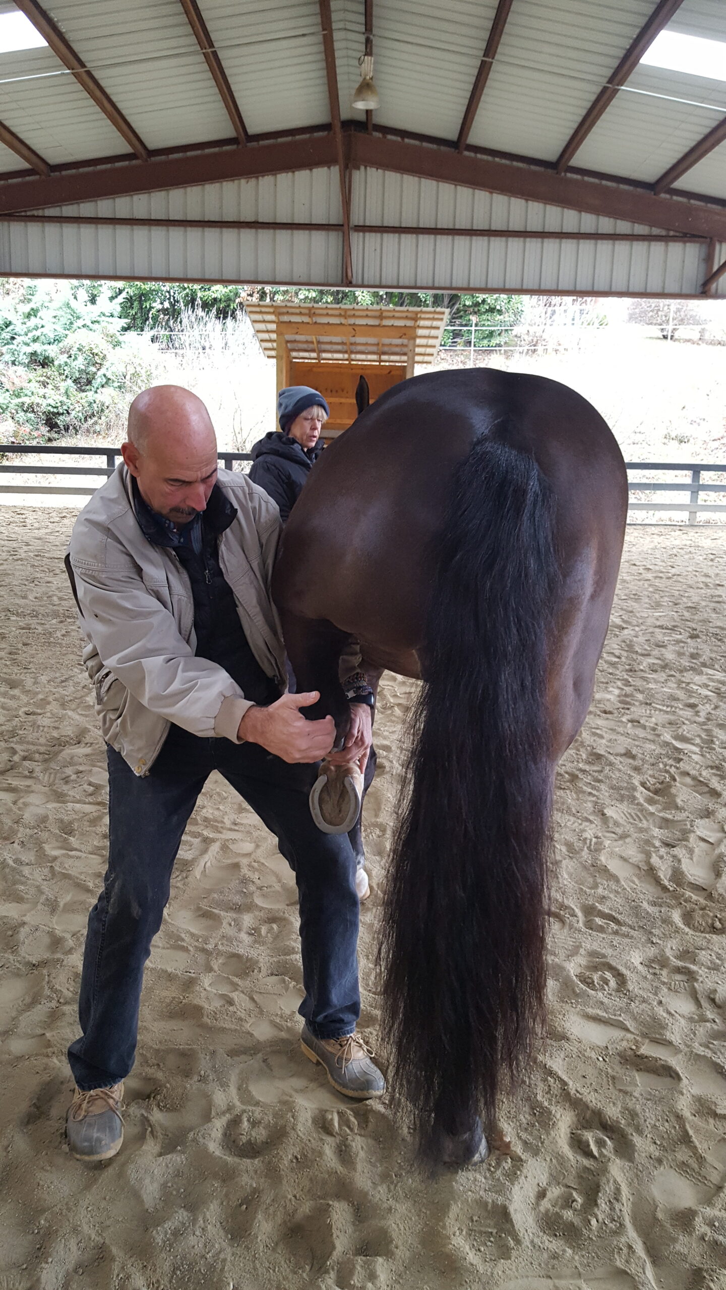 3 Steps to Stronger Stifles