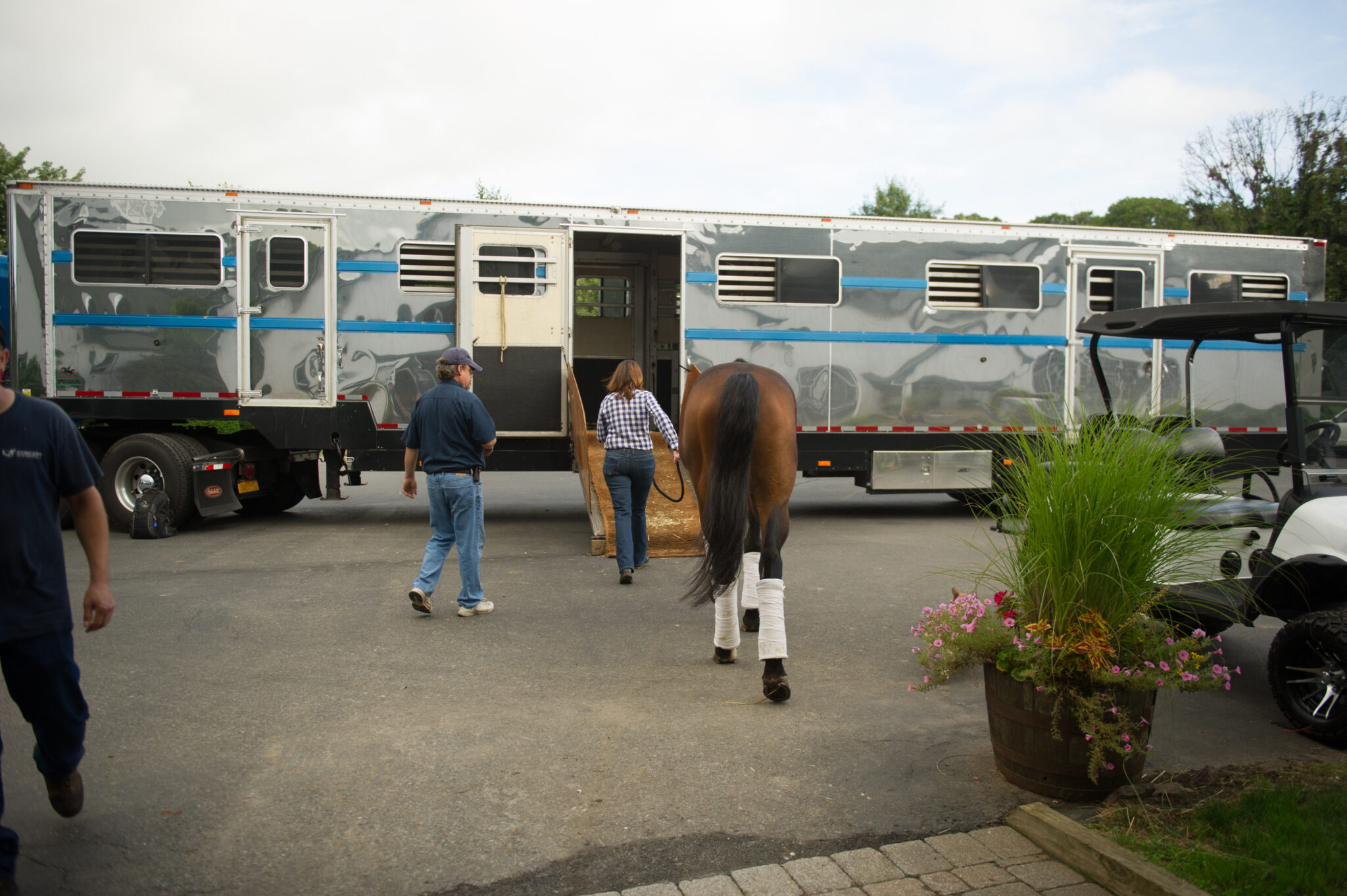 Shipping Fever - Practical Horseman