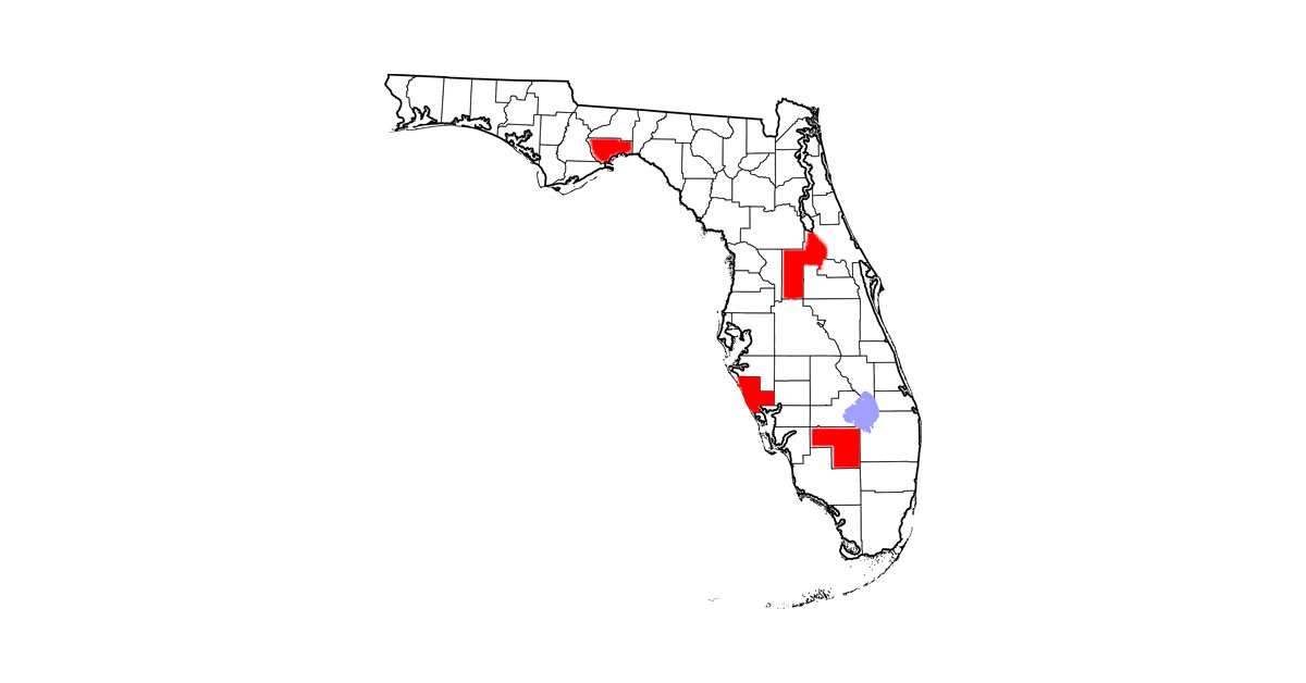 Strangles Confirmed in Four Florida Counties - Practical Horseman
