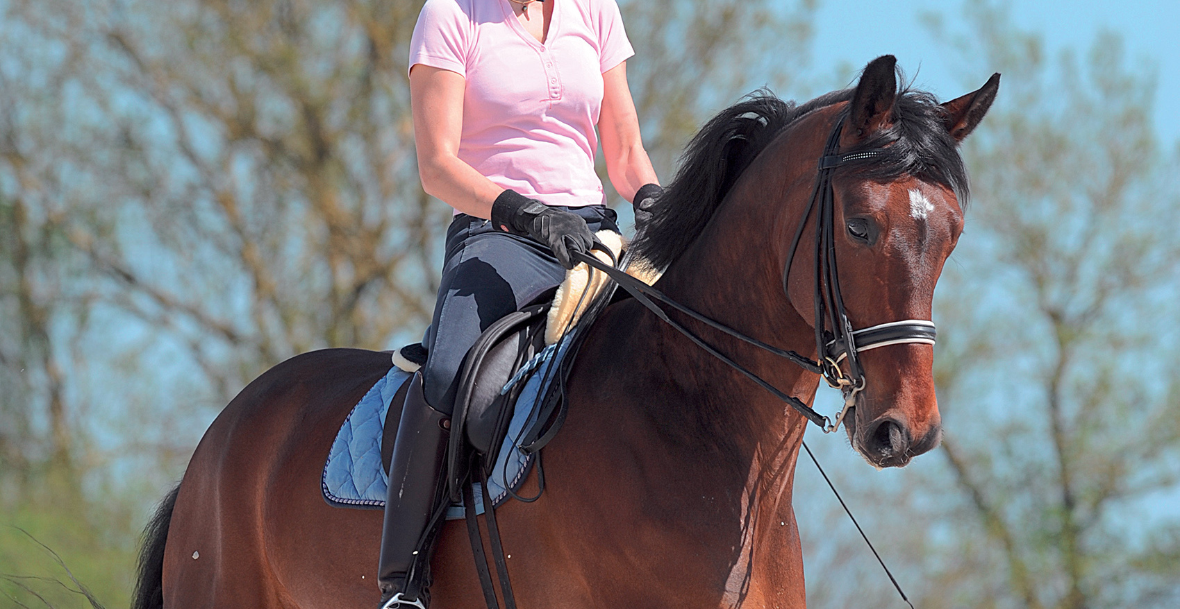 The Pursuit of Suppleness - Practical Horseman