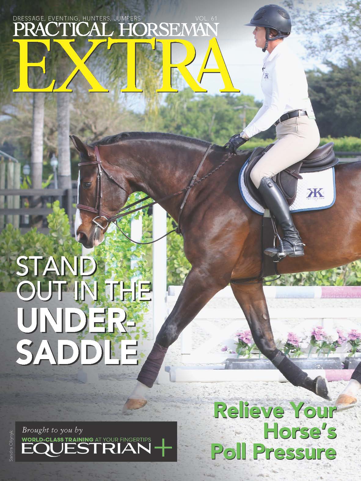Stand Out in the Under-Saddle • Relieve Poll Pressure - Practical Horseman