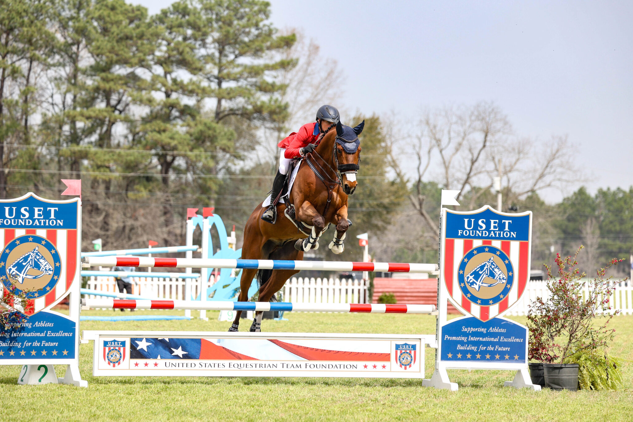 Carolina International Day Two: Can’t Catch Halliday - Practical Horseman