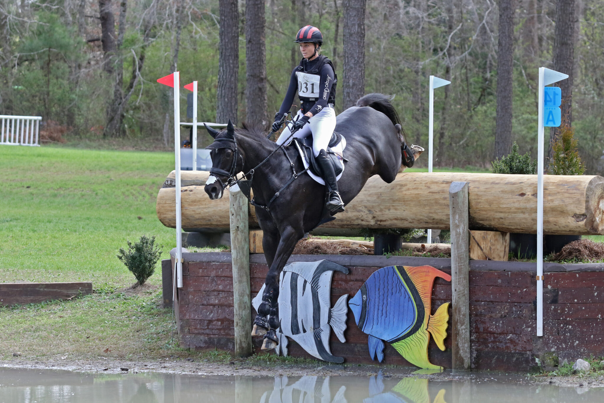 Three Queens Take Top Three Spots at Carolina International - Practical ...
