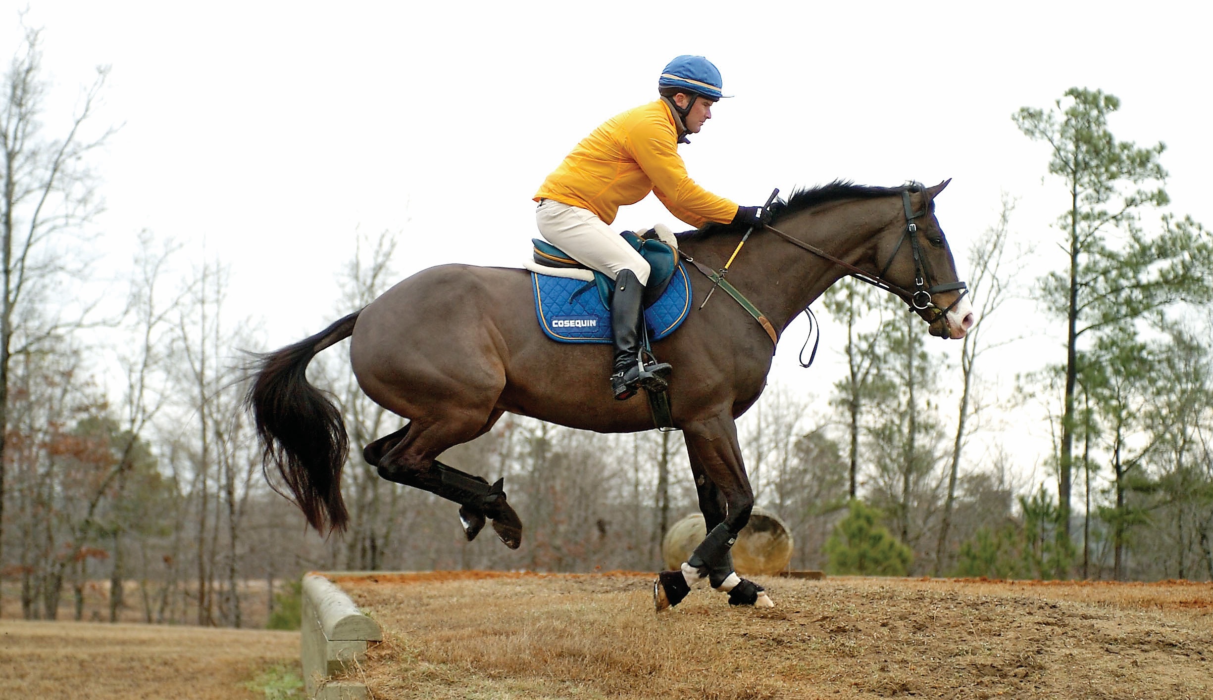 Phillip Dutton: How To Jump a Bank - Practical Horseman