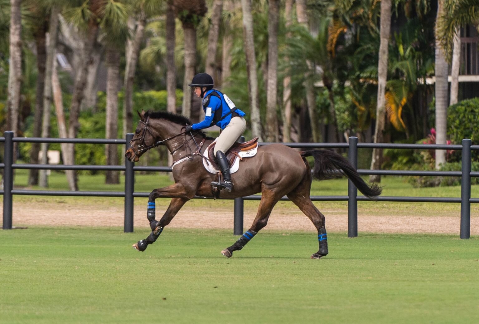 Develop a Strong Galloping Position