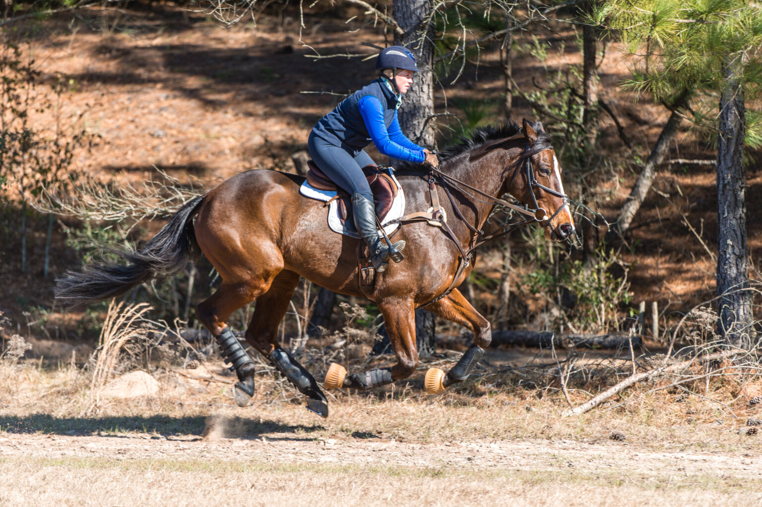Develop a Strong Galloping Position