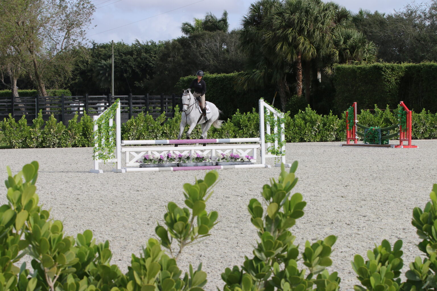 Jump an S-Curve Line With Your Horse - Practical Horseman