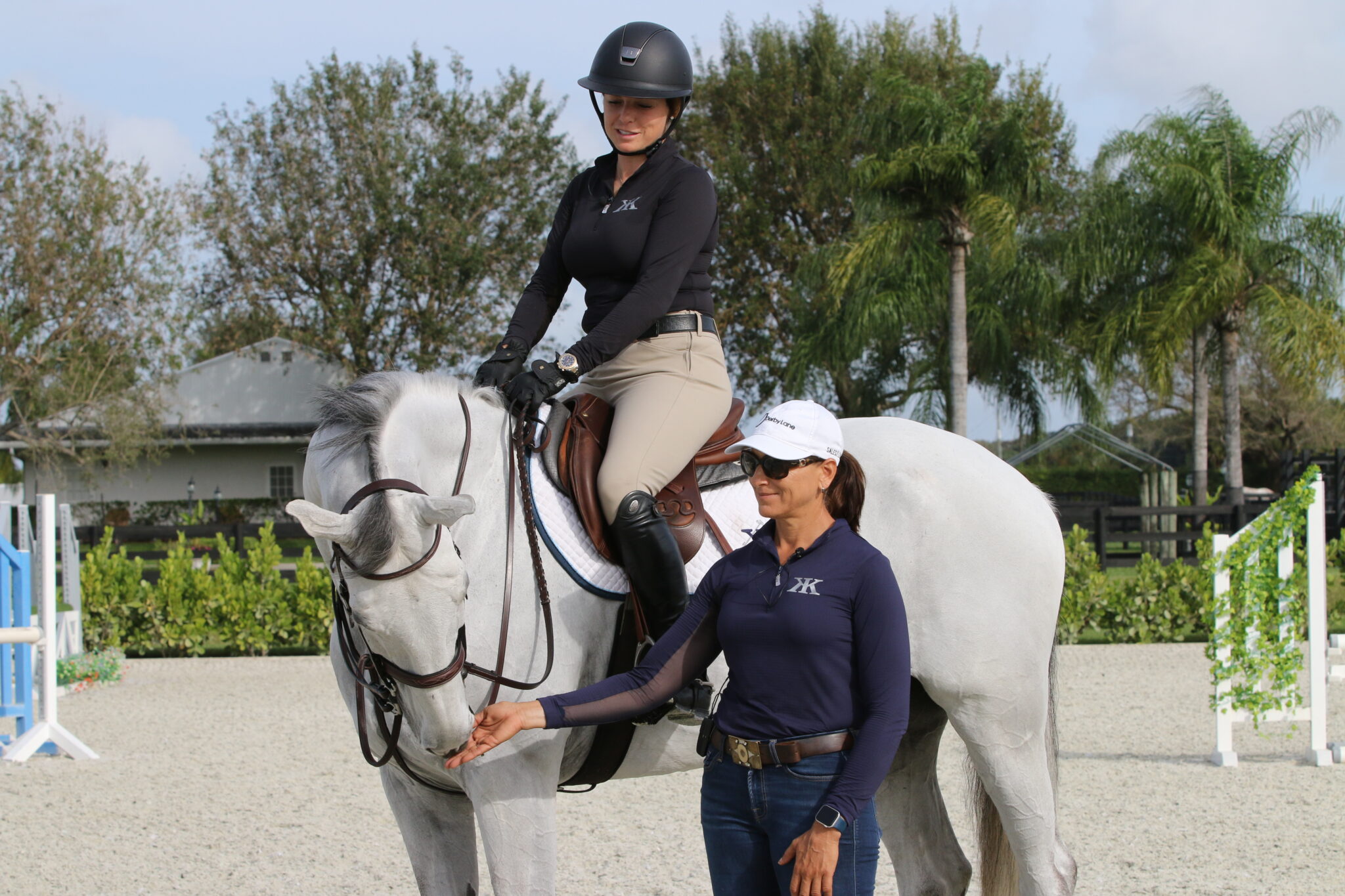 Jump an S-Curve Line With Your Horse - Practical Horseman