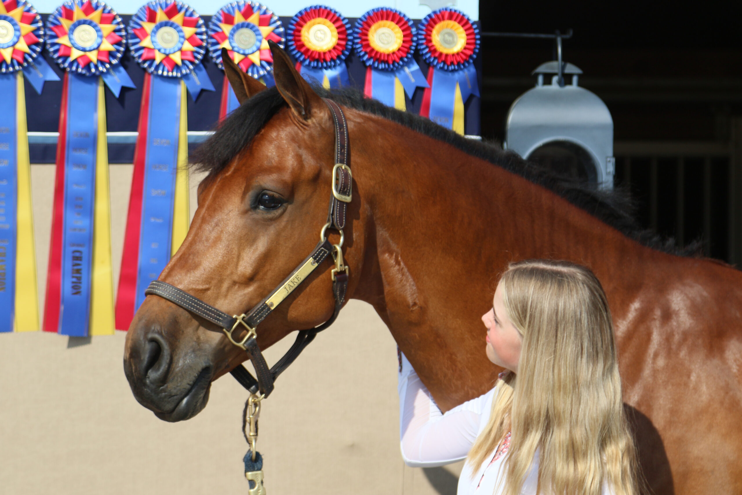 Ava Barnes Reins Supreme in Devon Hunters - Practical Horseman