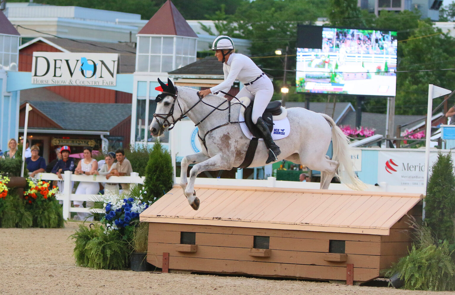 Arena Eventing Rocks the House at Devon With Martin Win - Practical ...
