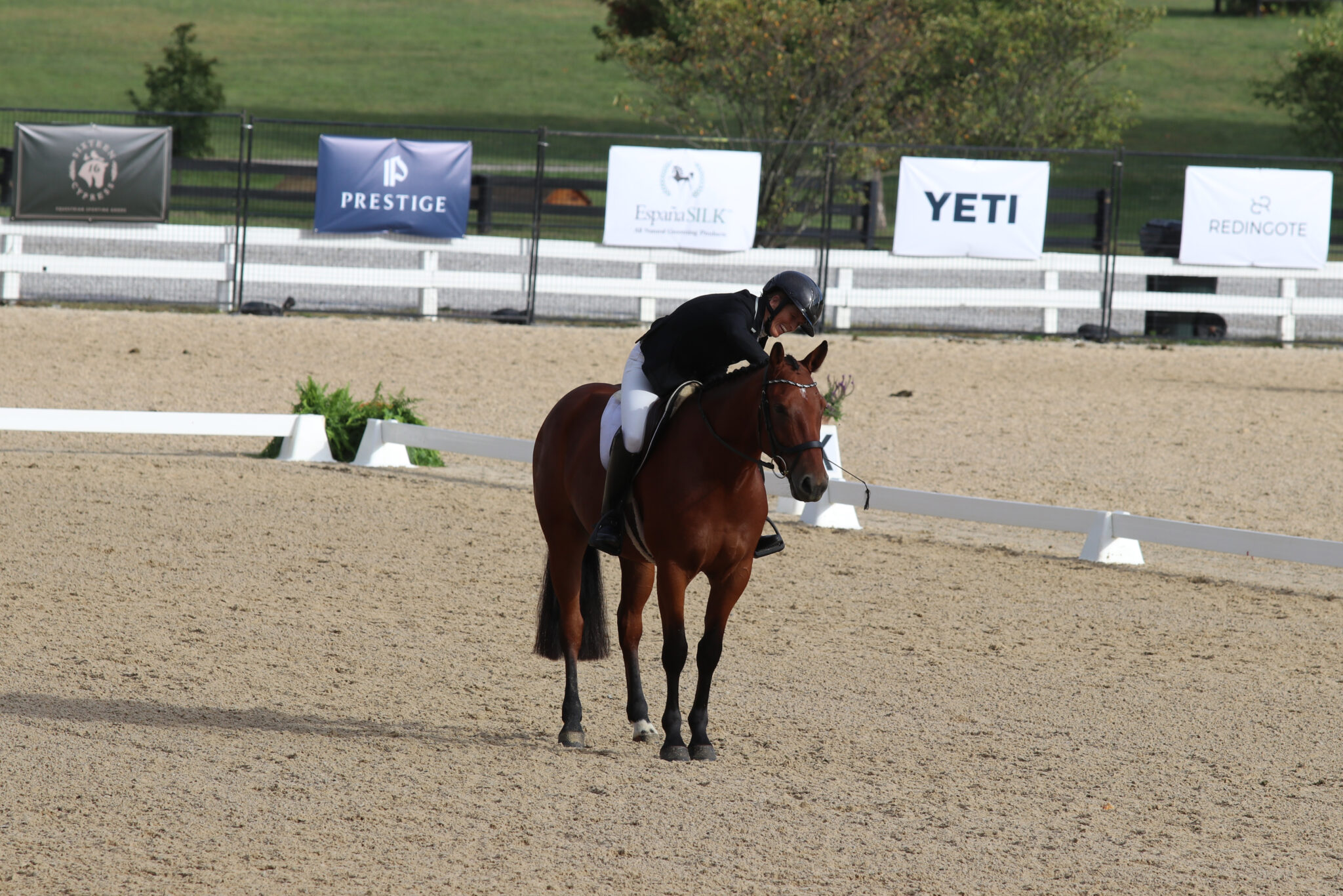 Elisa Wallace Partners With Zephyr to Lead Mustang Classic After Day One - Practical Horseman