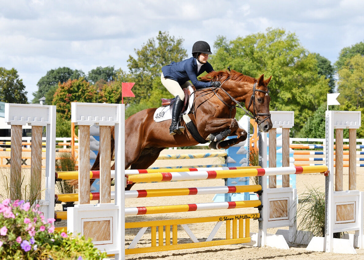 Jumping Clinic: Excellent Releases with Minor Stirrup Adjustments ...