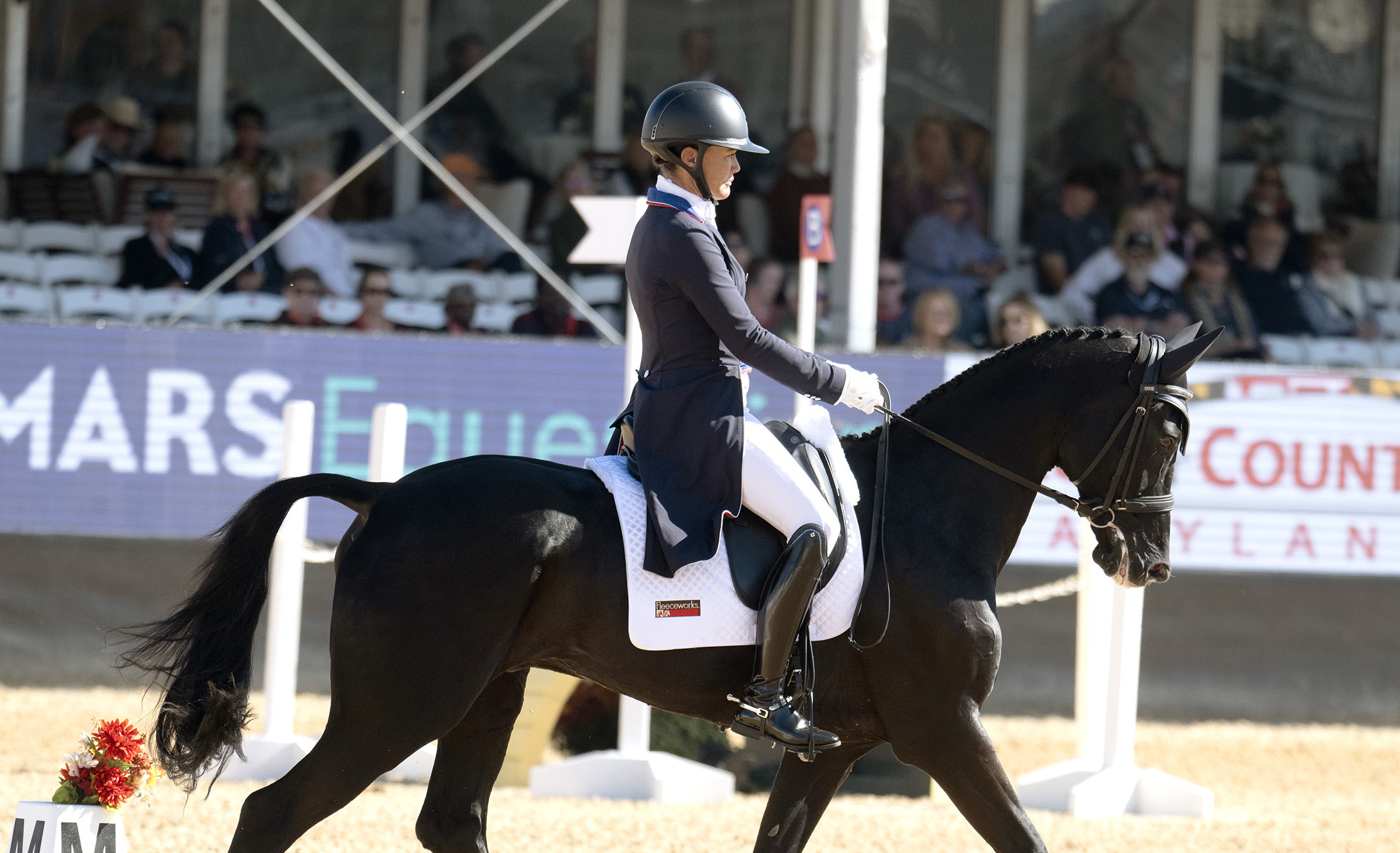 Smith, Townend Emerge on Top with Veteran Mounts at MD5* Dressage Day 2 ...