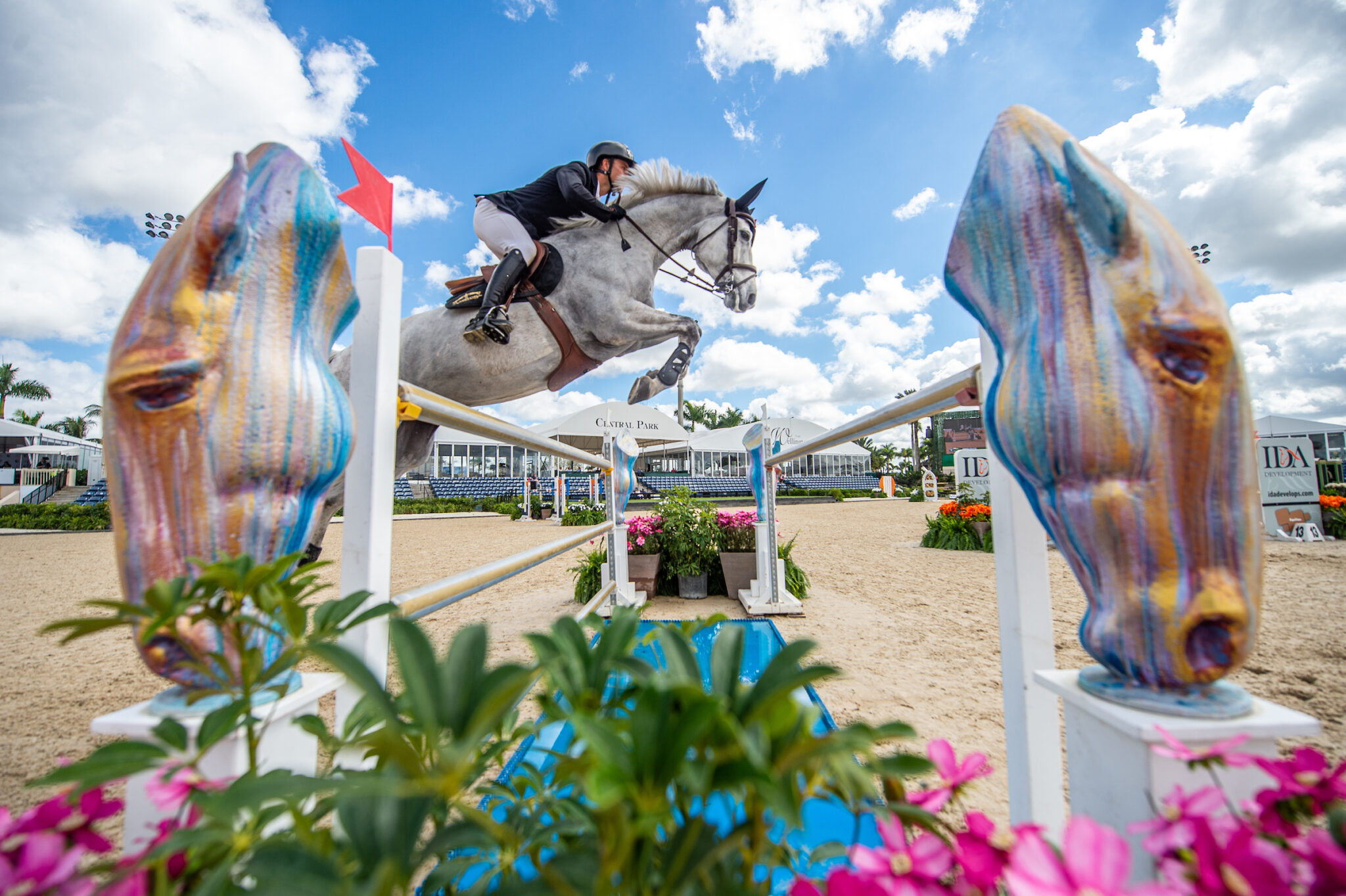 Vitamin E and Your Performance Horse's Immune System - Practical Horseman
