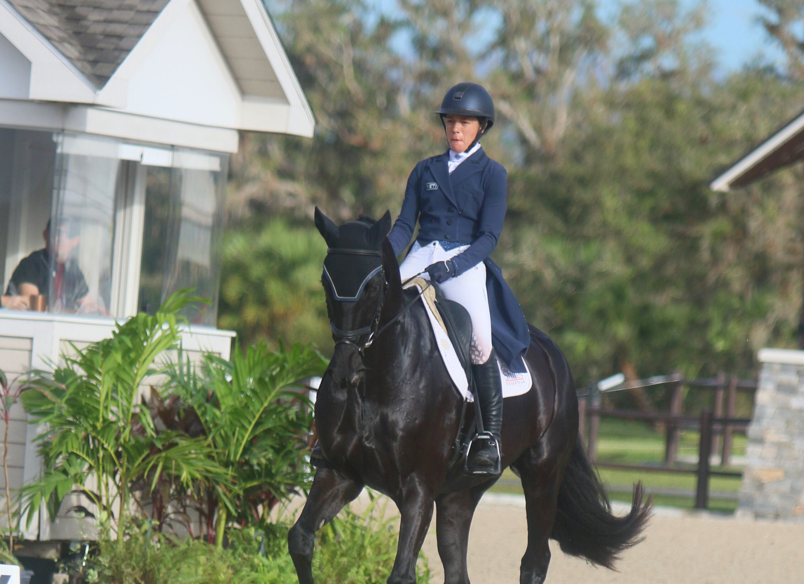 Mia Farley and Invictus Sail to Top at TerraNova 2024 - Practical Horseman