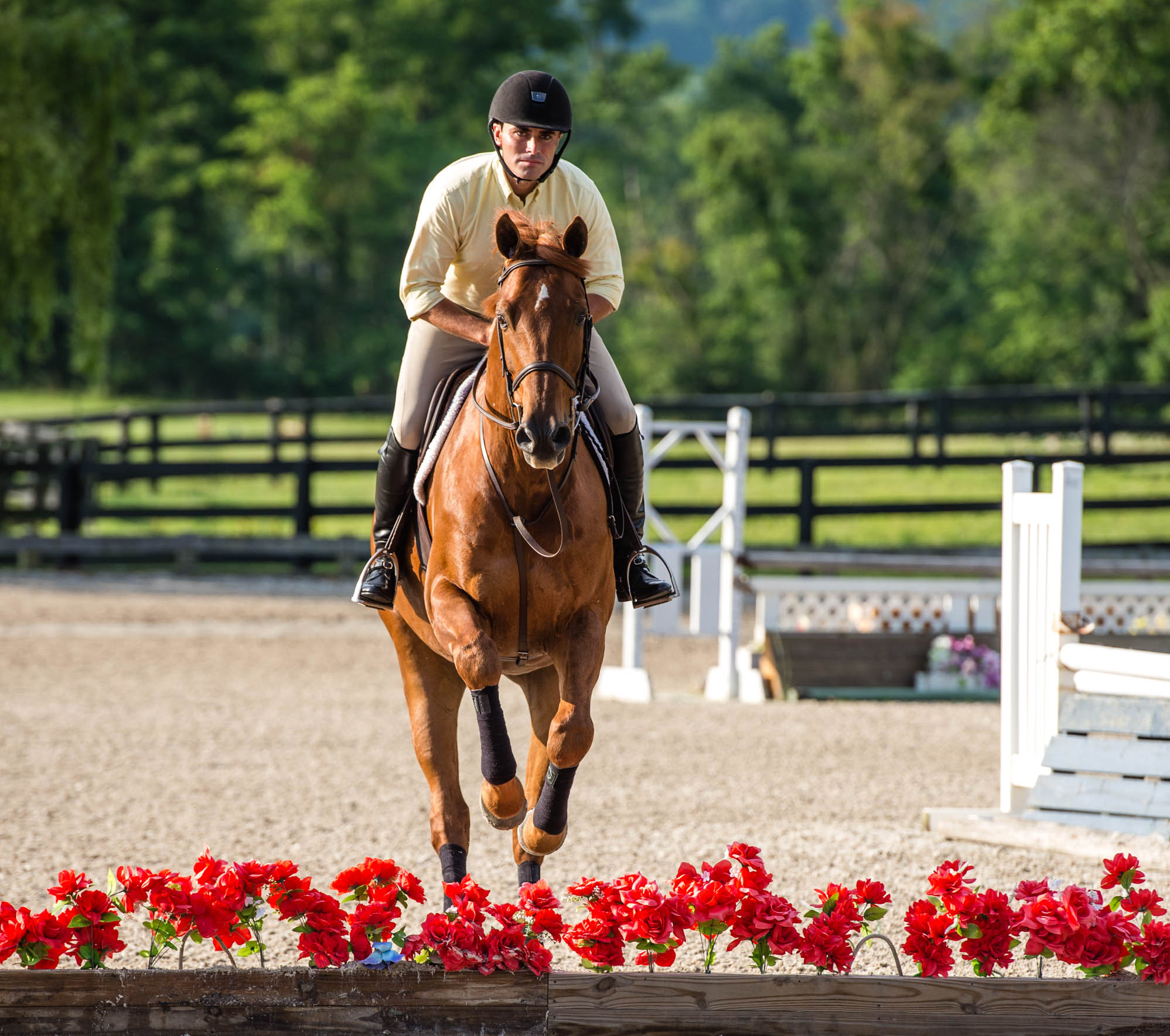 Top Tips to Ride Your Hunter Round Like a Pro • To Blanket or Not? Top ...