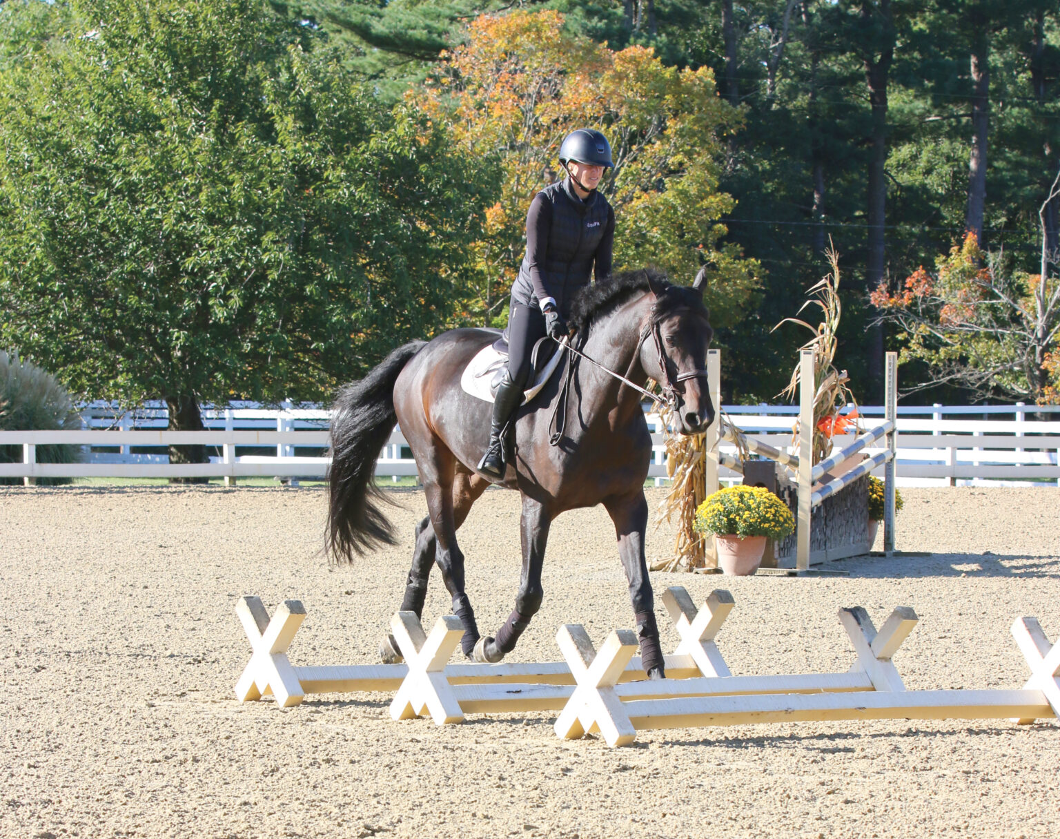 4 Exercises for a Winning Equitation Round - Practical Horseman
