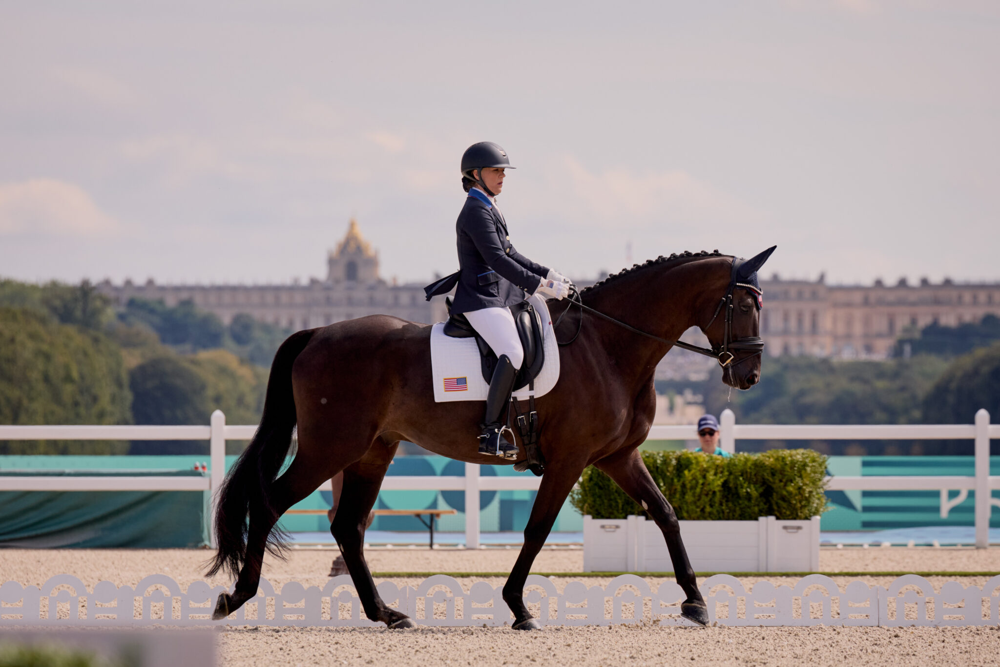 2024 Paris Paralympics Recap: U.S. Para-Dressage Powerhouse - Practical ...