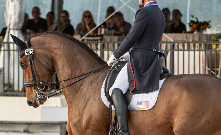 The Connection Between the Rider's and Horse's Backs - Practical Horseman