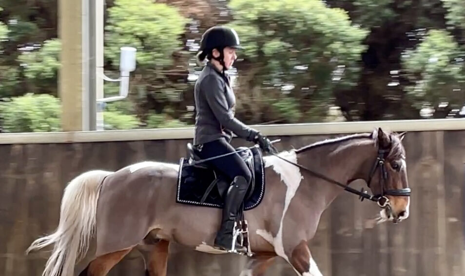 Lengthening the Rider’s Upper Body and Legs - Practical Horseman