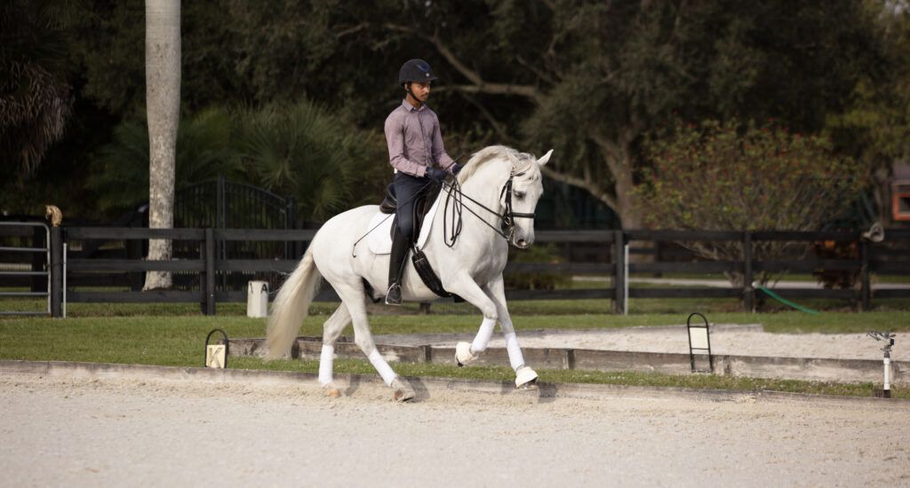 Effective Aids - Practical Horseman