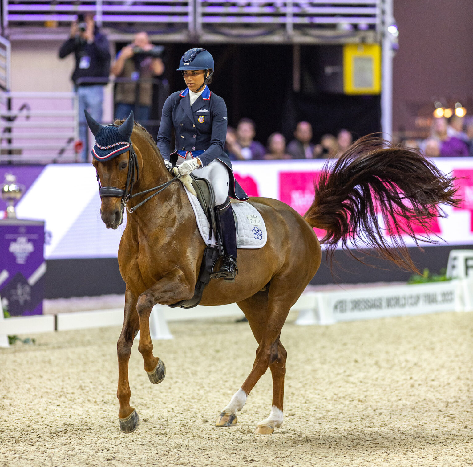 To Do This Month: March 2025 - Practical Horseman