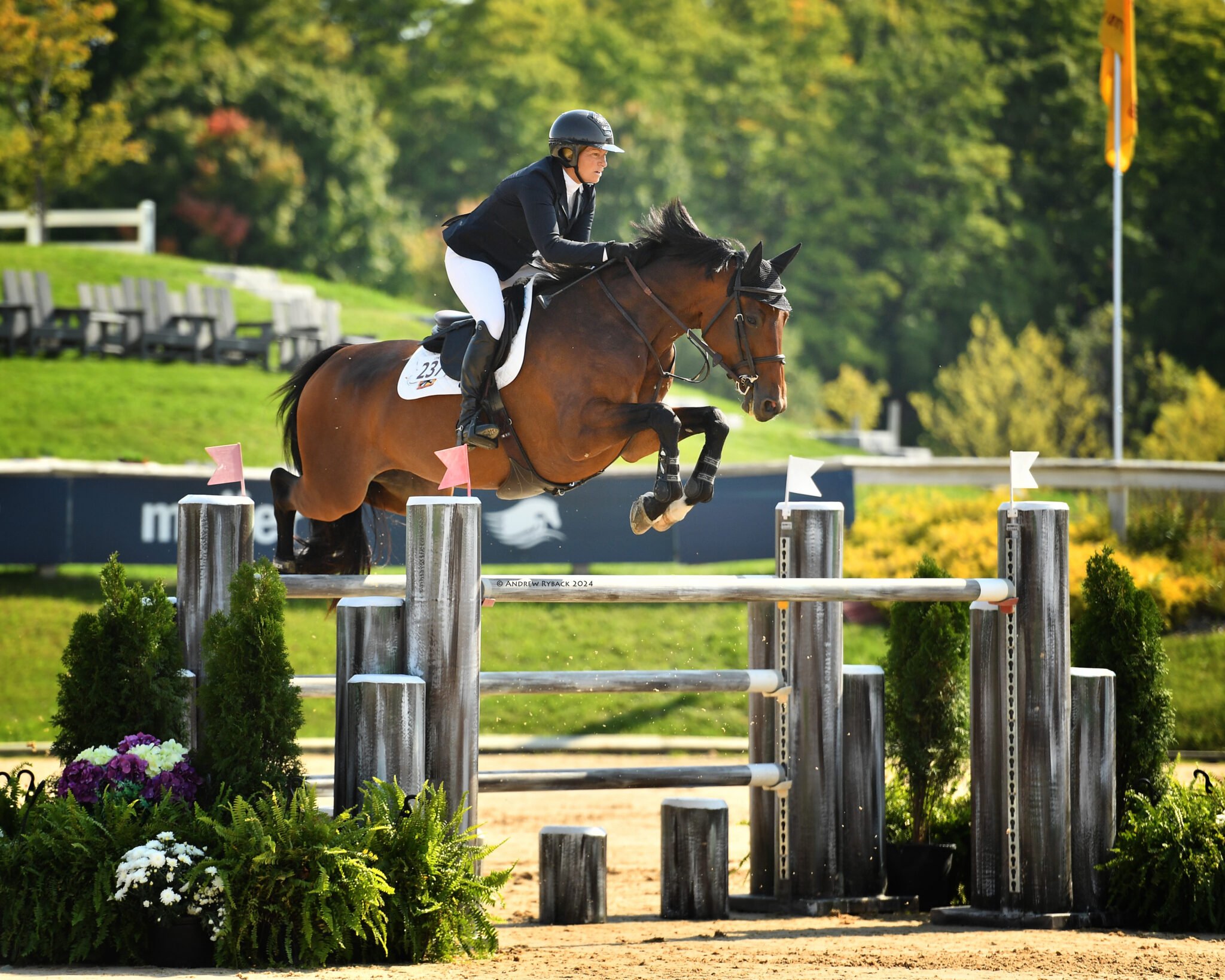 Correct Rider Position and Why It Matters With Beezie Madden ...