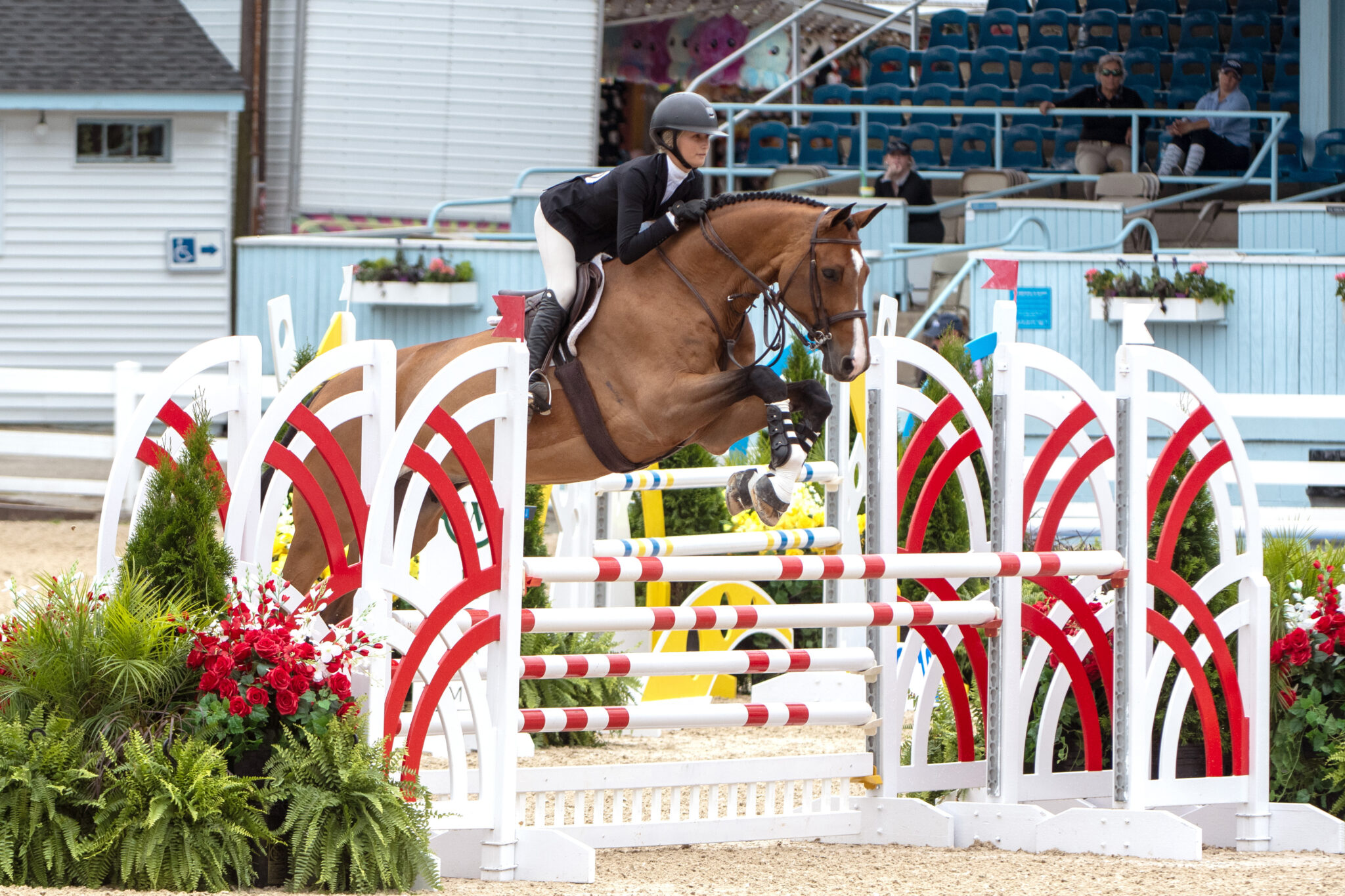 Breaking Down Courses for Equitation Success - Practical Horseman