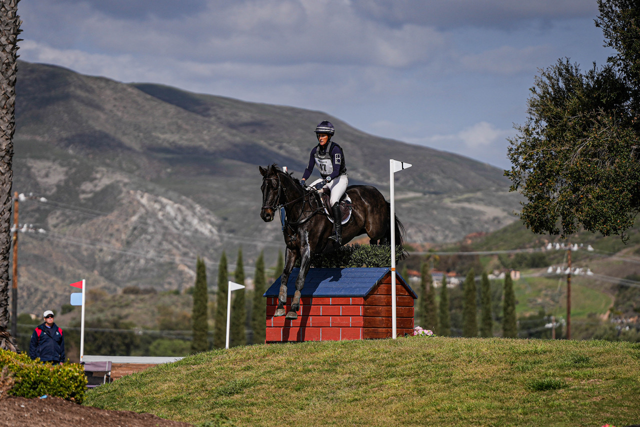 Braitling Stars in 4* Shake-Up at 2025 Galway Downs International Horse ...