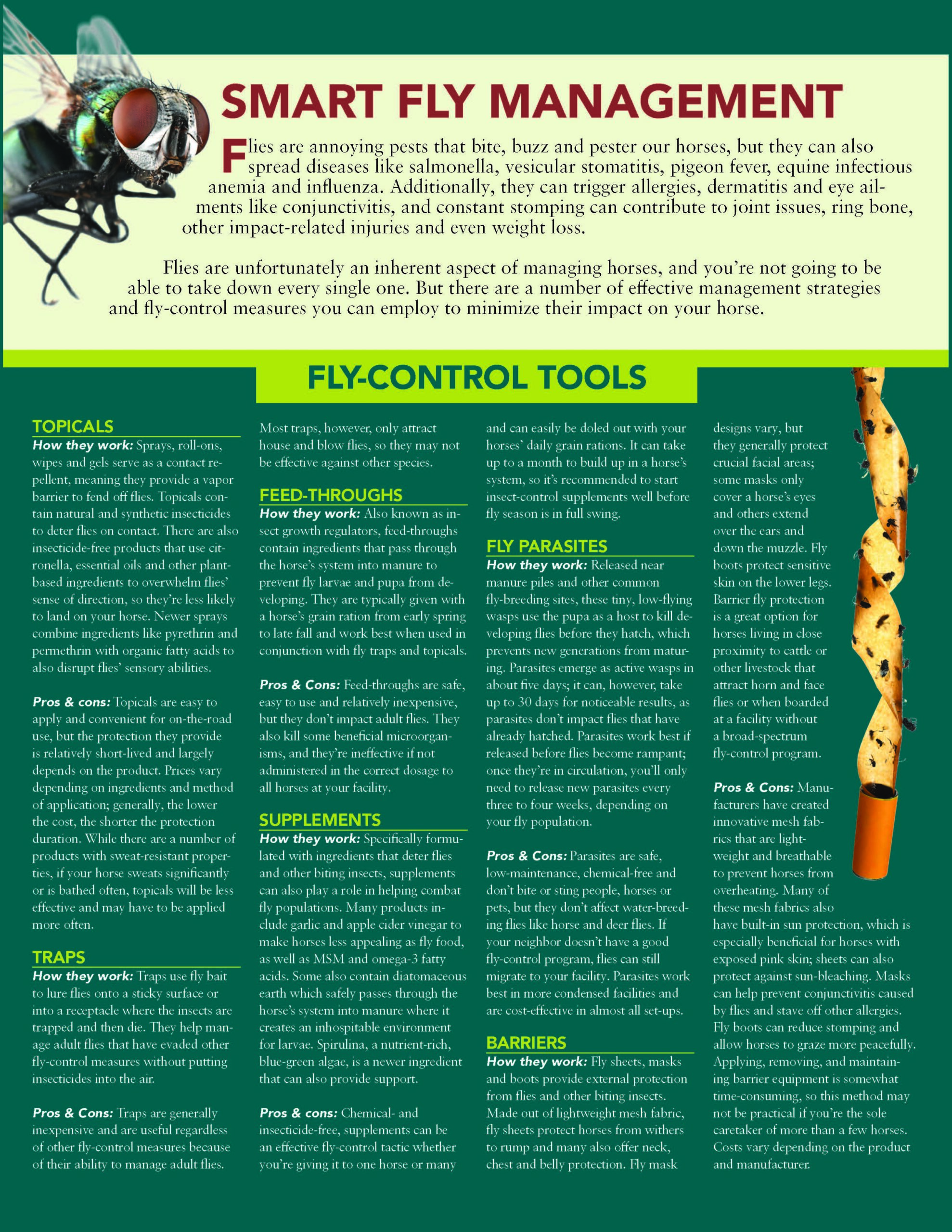 Smart Fly Management - Practical Horseman