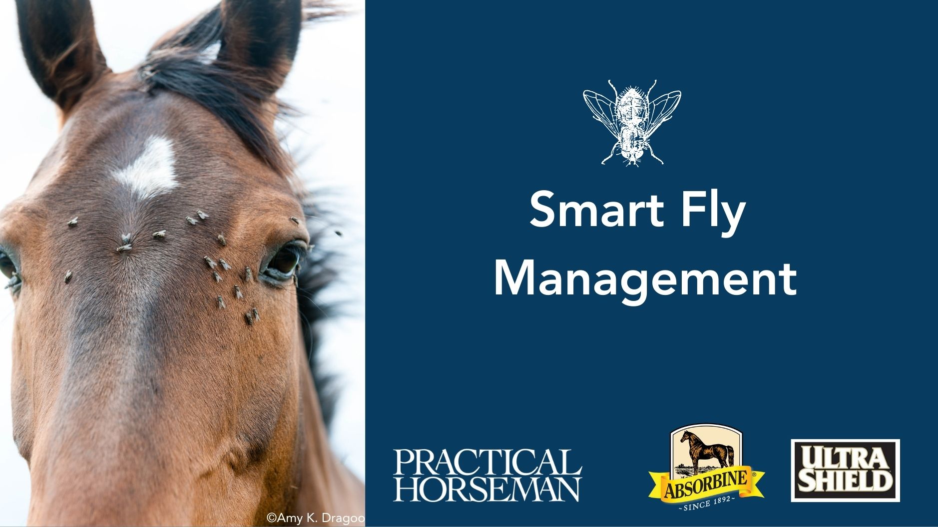 Smart Fly Management - Practical Horseman