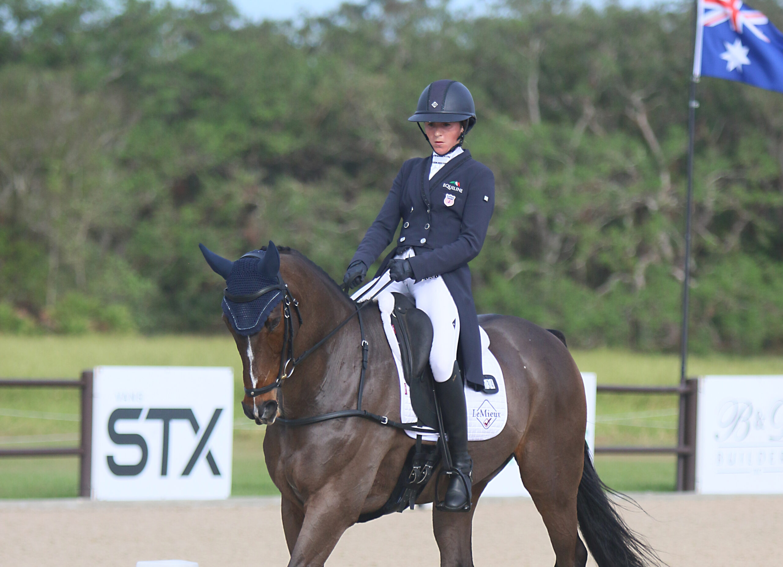 Yes! Your OTTB Can Shine in the Dressage Ring - Practical Horseman