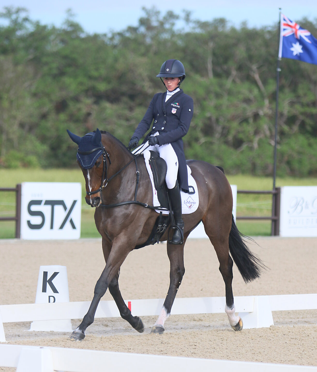 Yes! Your OTTB Can Shine in the Dressage Ring - Practical Horseman