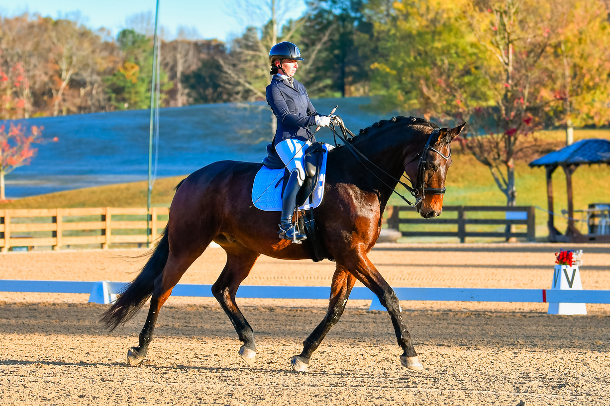 Develop a Balanced, Soft Position and Following Hands - Practical Horseman