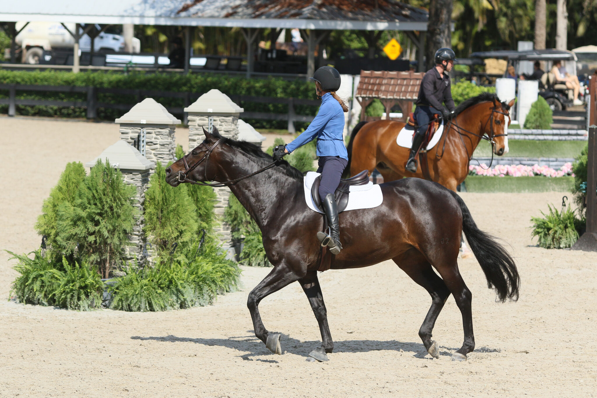 How Can I Get My High-Headed Hunter to Drop His Head and Round Up ...