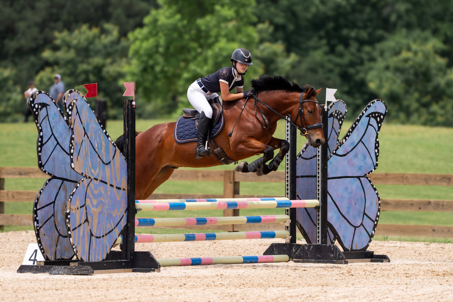 EQUESTRIAN+ Is Thrilled to Offer Free Livestream of the Second-Ever Mustang Classic - Practical ...