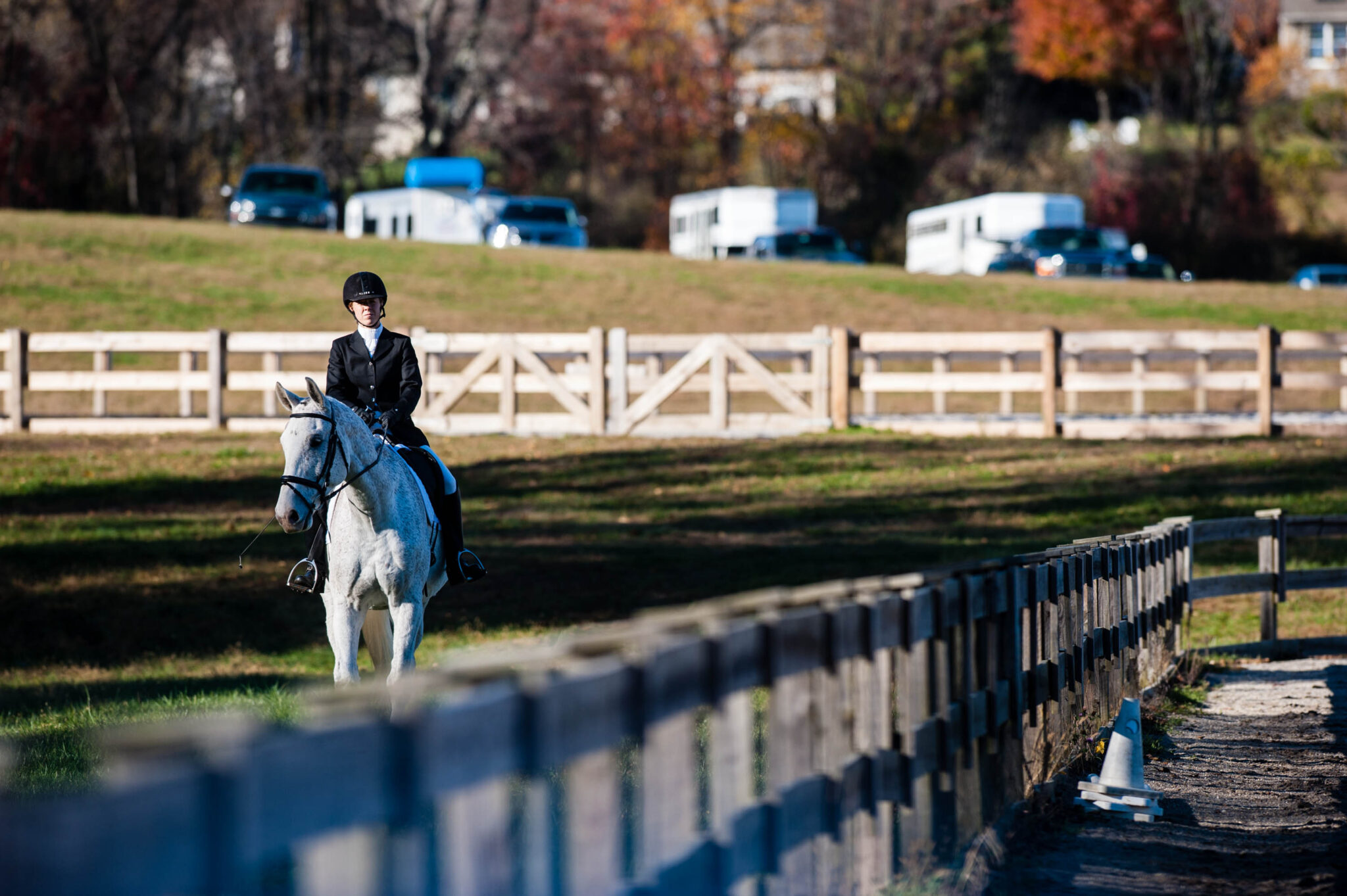 Learn How To Manage Your Distracted Horse - Practical Horseman