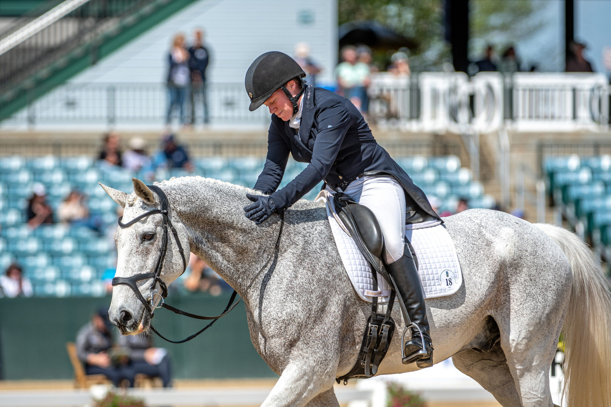 Your Essential Guide to Equine Coat Color and Color Genetics ...