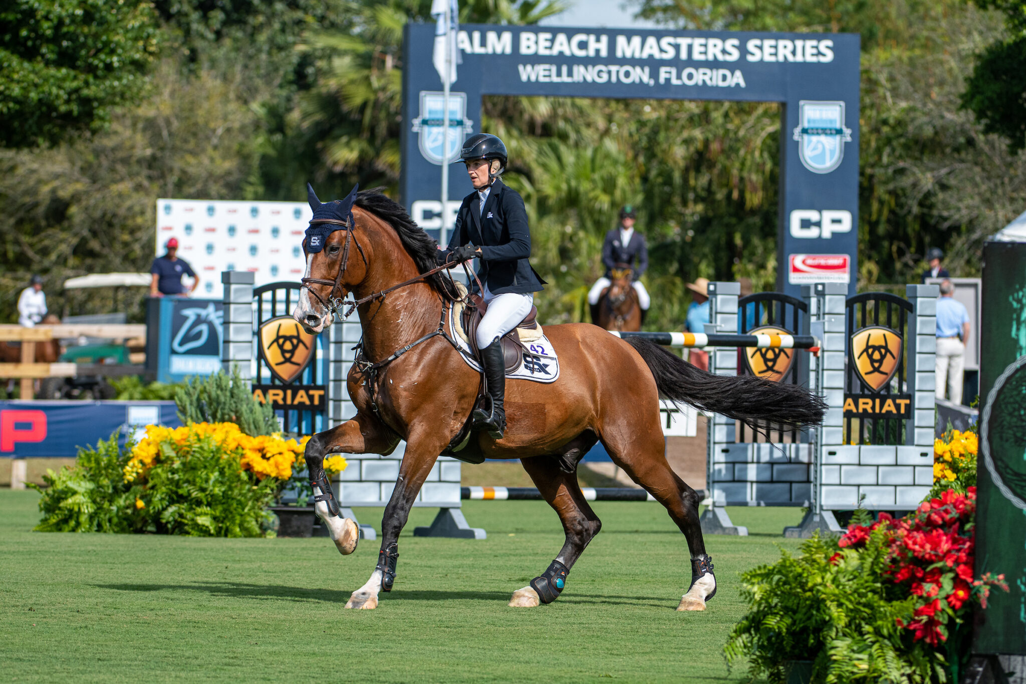 Your Essential Guide to Equine Coat Color and Color Genetics ...