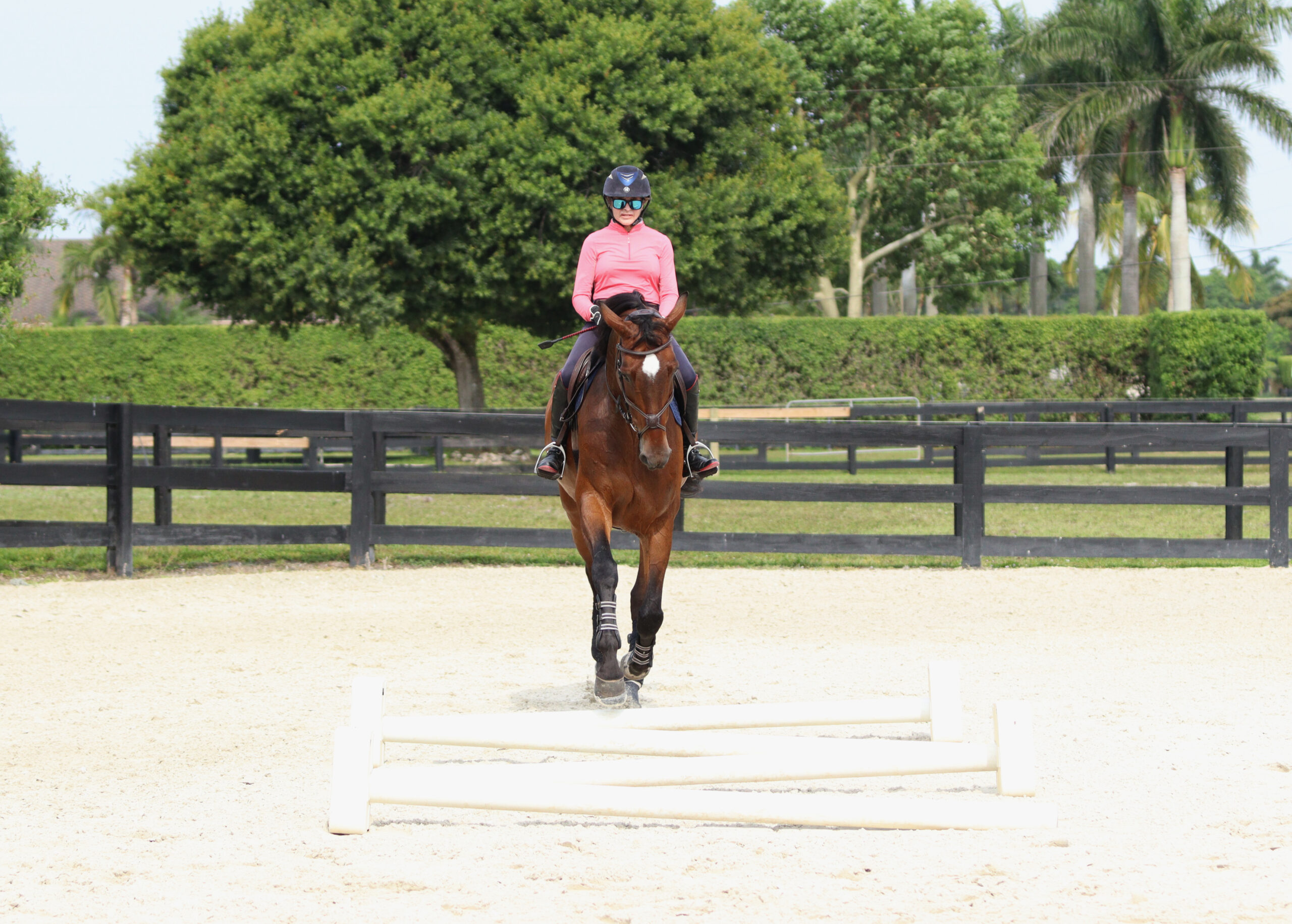 Ground-Rail Exercises for Better Jumping Rounds - Practical Horseman