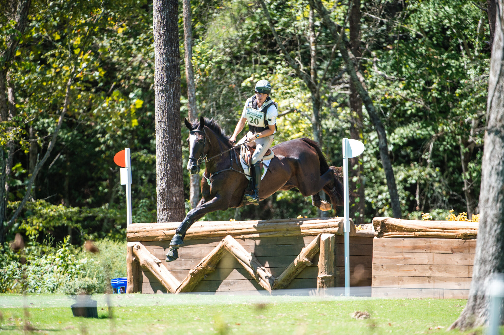 2025 American Eventing Championships Will Livestream on EQUESTRIAN+ for ...