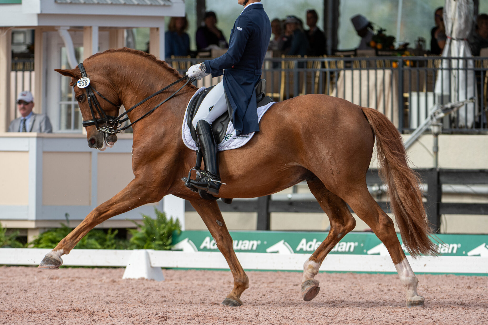 Find Your Ideal Position on a Moving Target - Practical Horseman