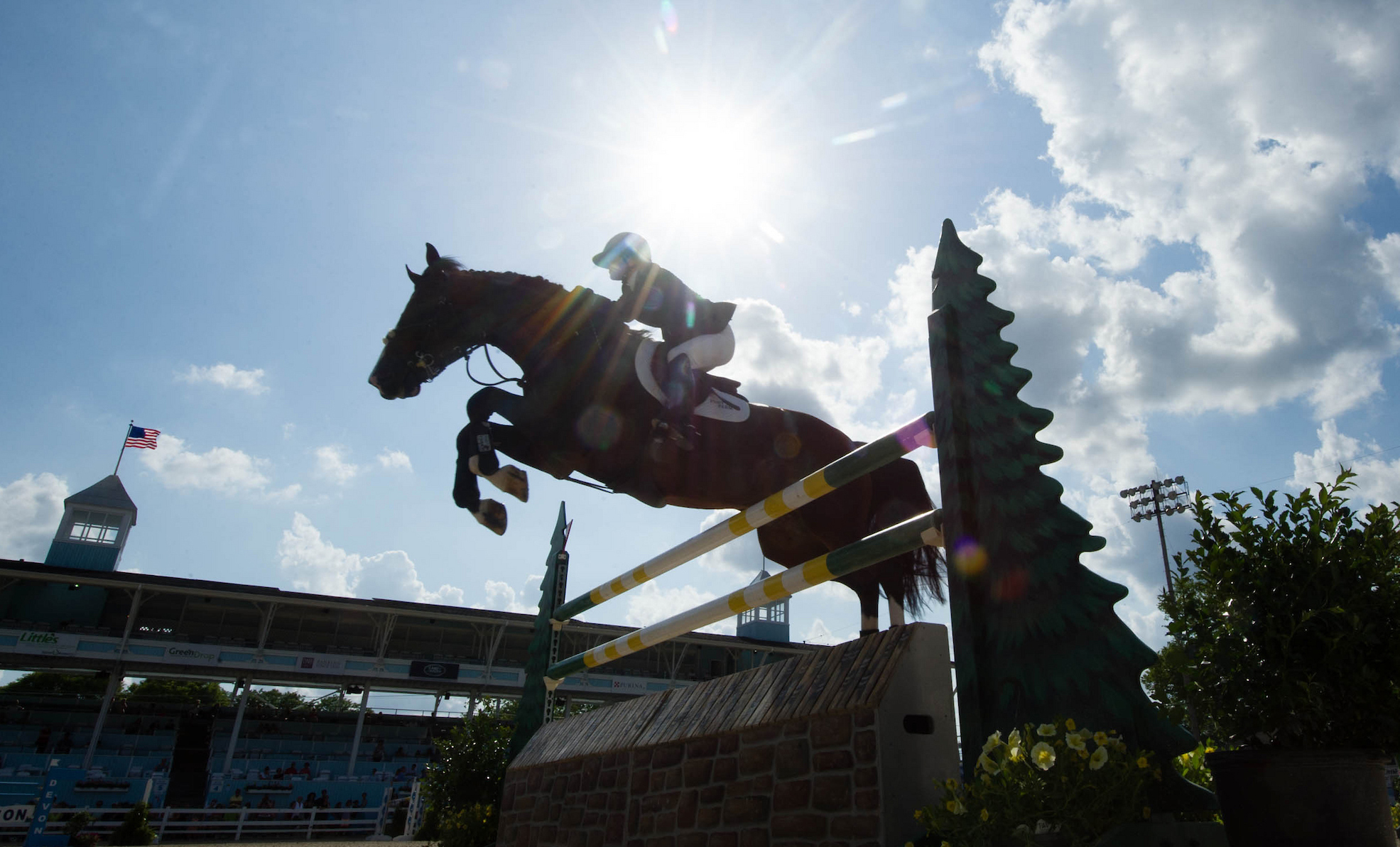 SmartPak Rebrands as SmartEquine, Reinforcing Its Commitment to Horse ...