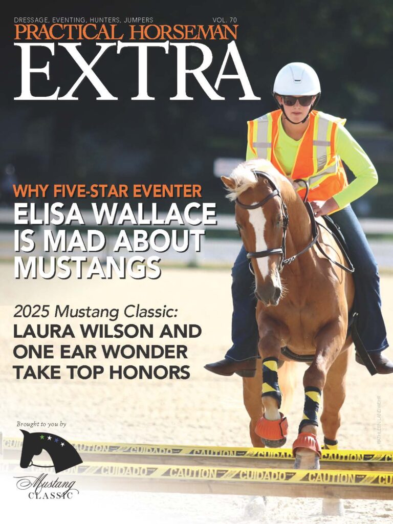 Elisa Wallace’s Unbridled Passion for Mustangs • Laura Wilson and One ...